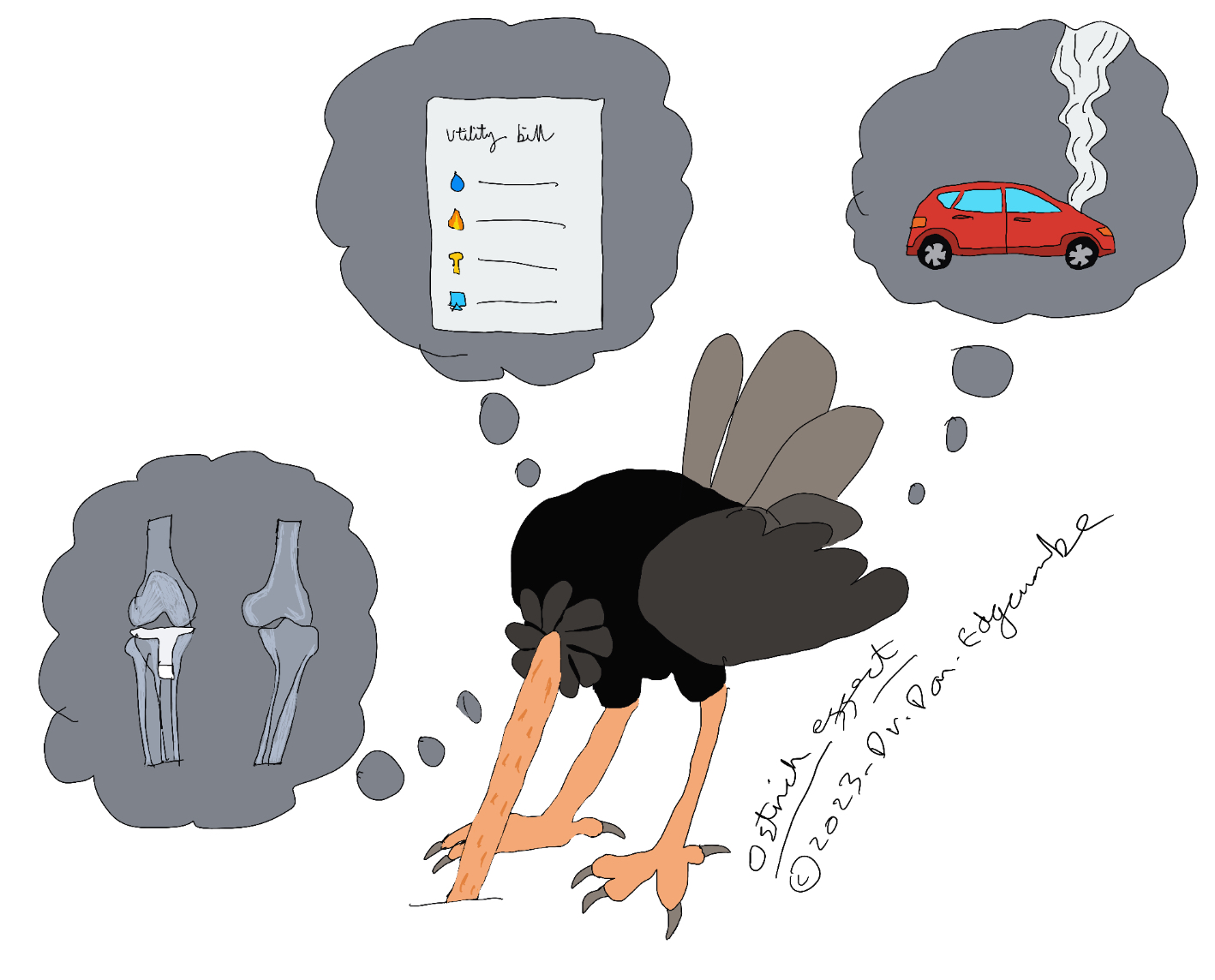 Ostrich Effect – Dr Dan Edgcumbe